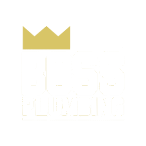 Contact Us - Boss Plumbing